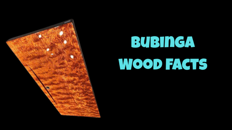 Bubinga Wood: 10 Must-Know Facts!