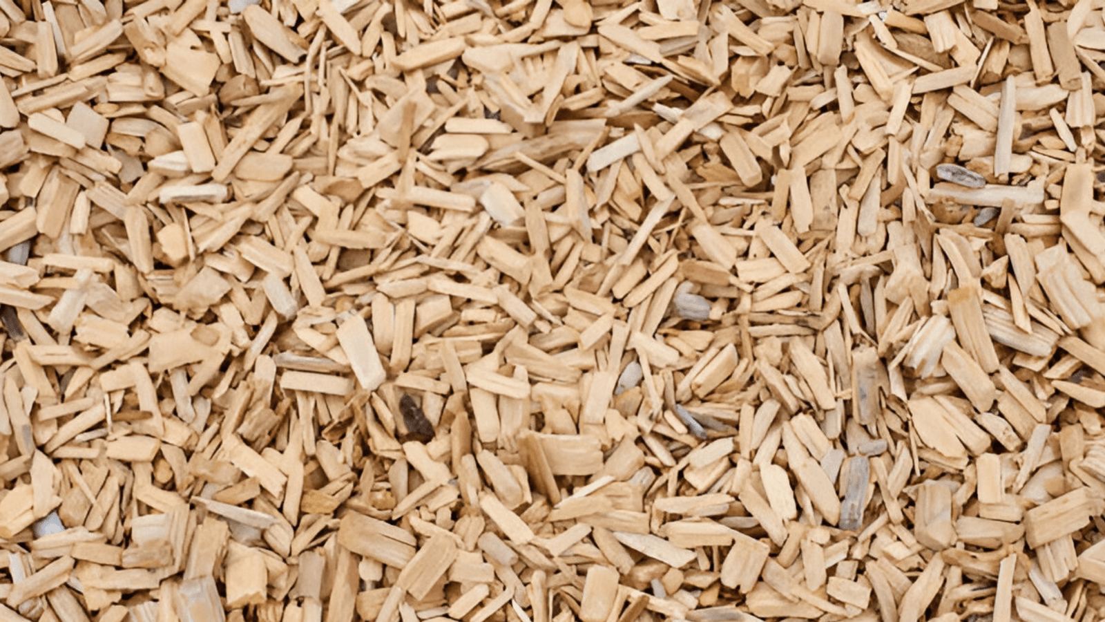 Mulch Vs Wood Chips: Which Should You Choose For Your Garden?