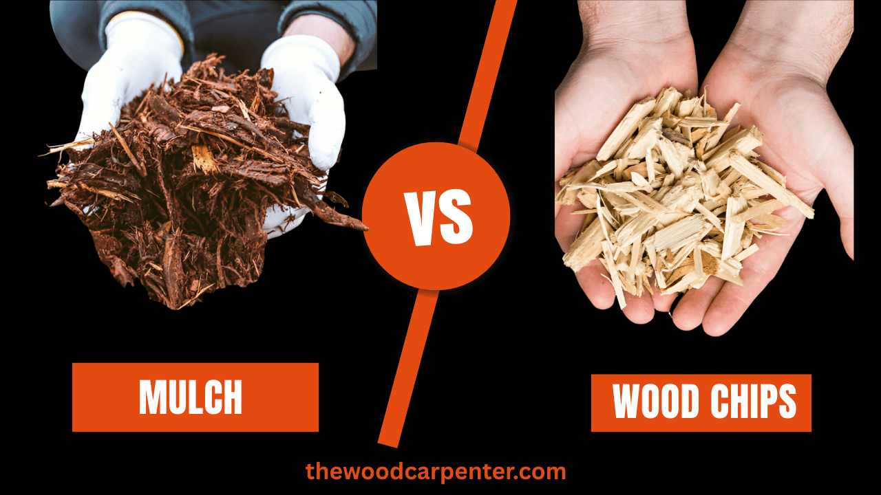 Wood Roach Vs Cockroach: The Shocking Differences You Need To Know!